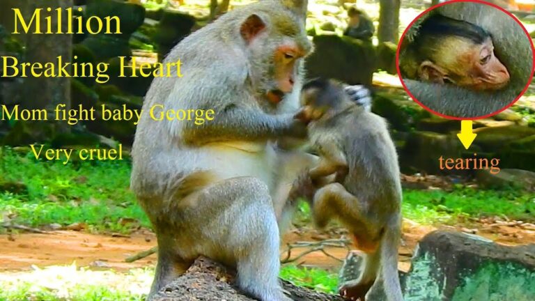 Million Breaking Heart ! Your Tear Will Drop Down When You See Gladdis ...